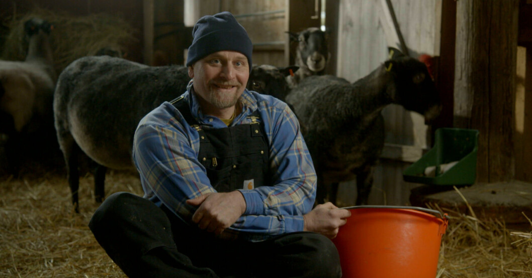 Här är alla bönder i Bonde söker fru 2023 – se hela listan | Hänt