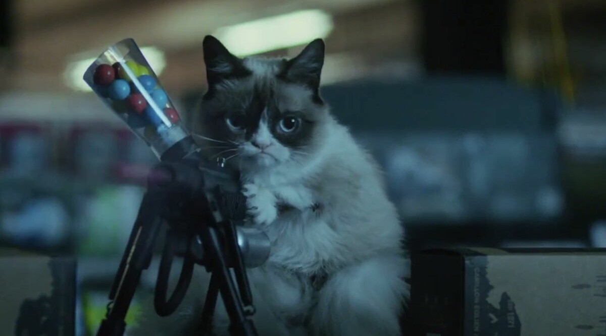 Sluta med det du gör – trailern för Grumpy Cat-filmen är här | Hänt