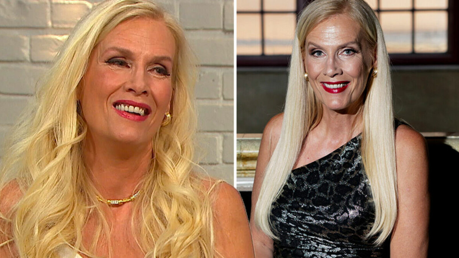 Gunilla Persson Modellkarri